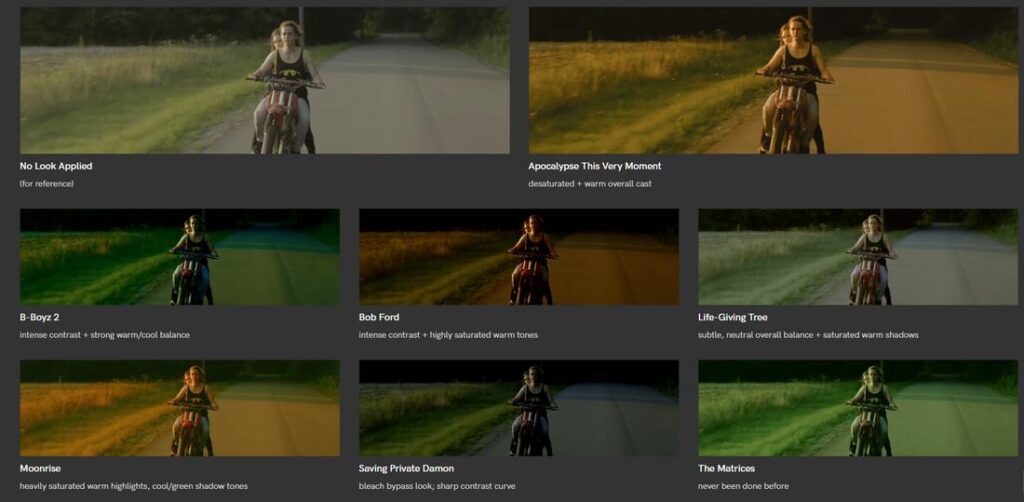 20+ Best Film LUTs (Film Look for DaVinci, Premiere Pro & More) - Shack ...