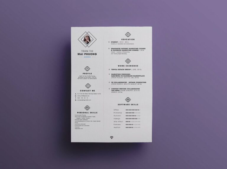 25+ Best Minimal Resume Templates in 2024 | Design Shack