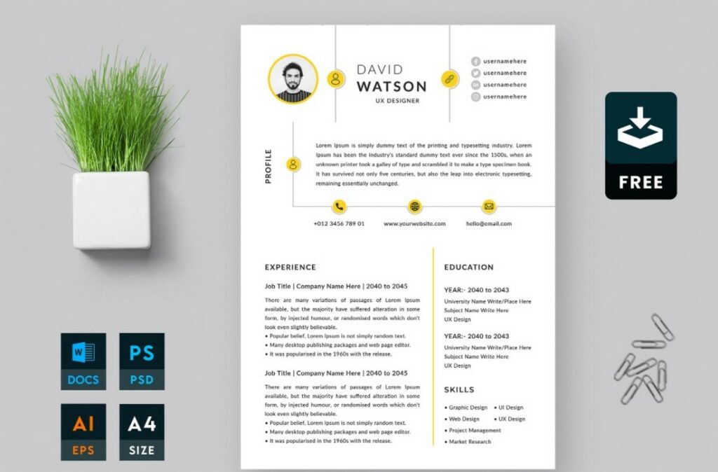 20+ Pro Resume Templates for Microsoft Word 2025 | Design Shack