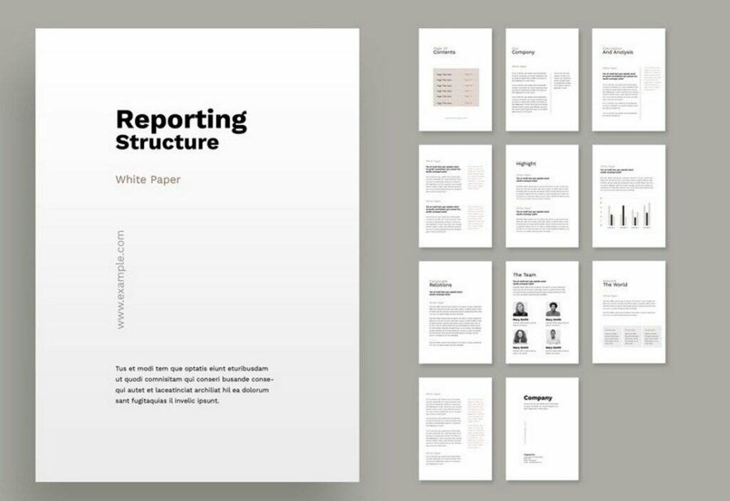 60+ Annual Report Templates (Word & InDesign) 2023 - Shack Design