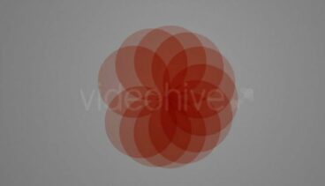 Apa itu Motion Graphics? Contoh & Template - desainae.com