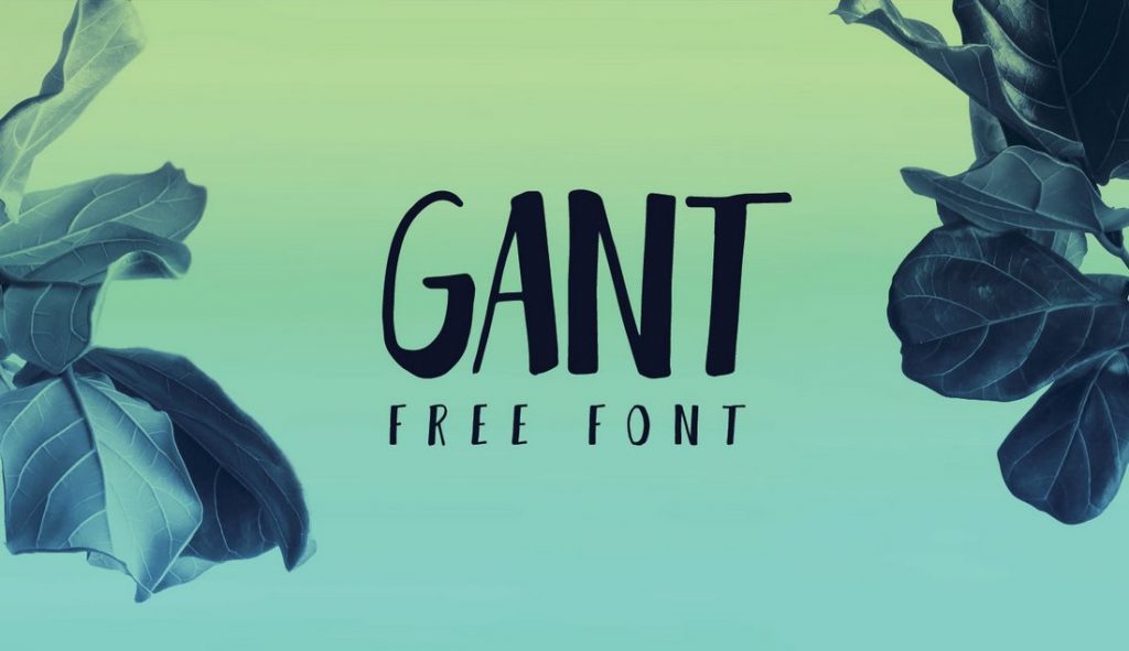 35+ Best Hand Lettering & Hand Drawn Fonts 2022 | Design Shack