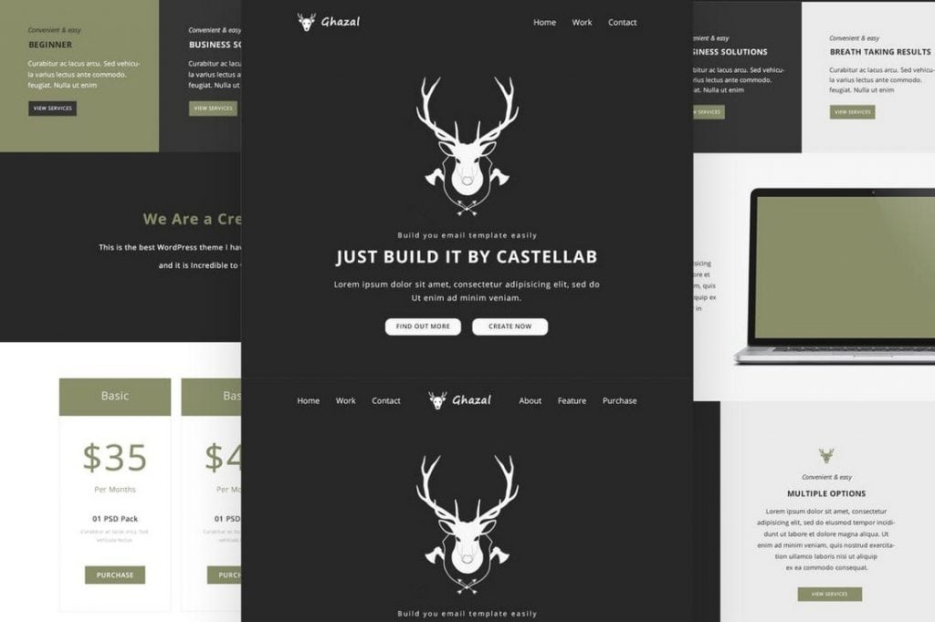 40+ Modern Responsive Email Templates 2021 | Design Shack