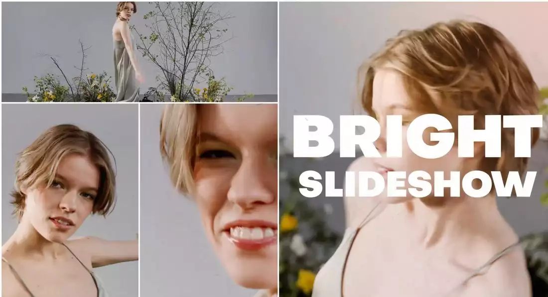 Grid Slideshow With Brushes for After Effects | Design Shack