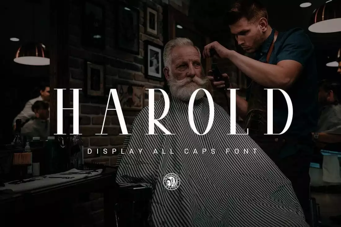 Harold Modern Serif Font | Design Shack