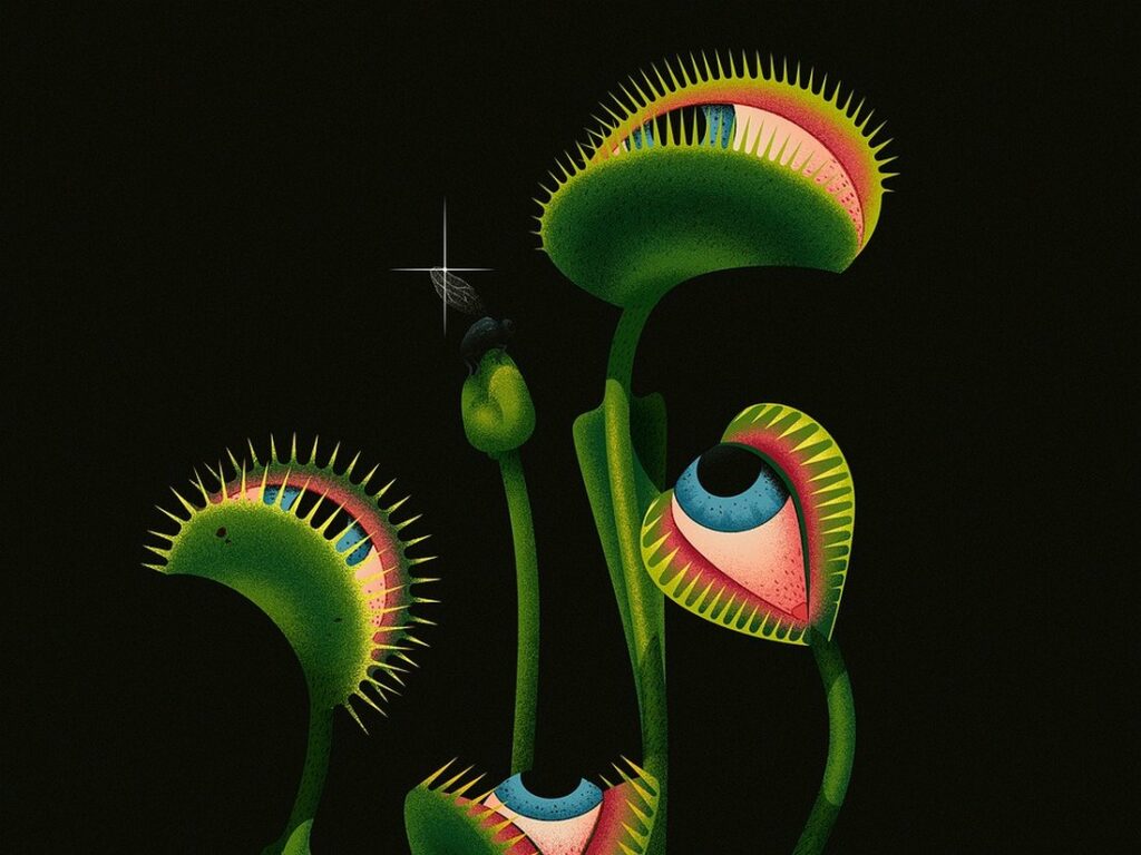 10 Illustration Trends to Look Out for in 2025 | Design Shack