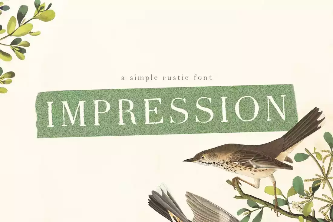Impression Hand-Lettering Rustic Font | Design Shack