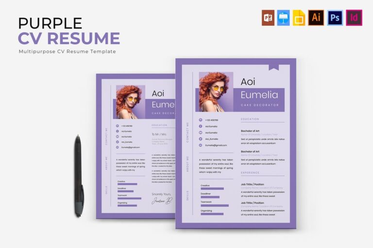 30+ Best InDesign Resume Templates (INDD CV Templates) | Design Shack
