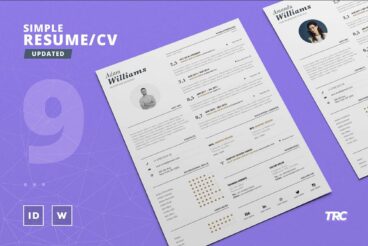 20+ Best InDesign Resume Templates (INDD CV Templates) | Design Shack