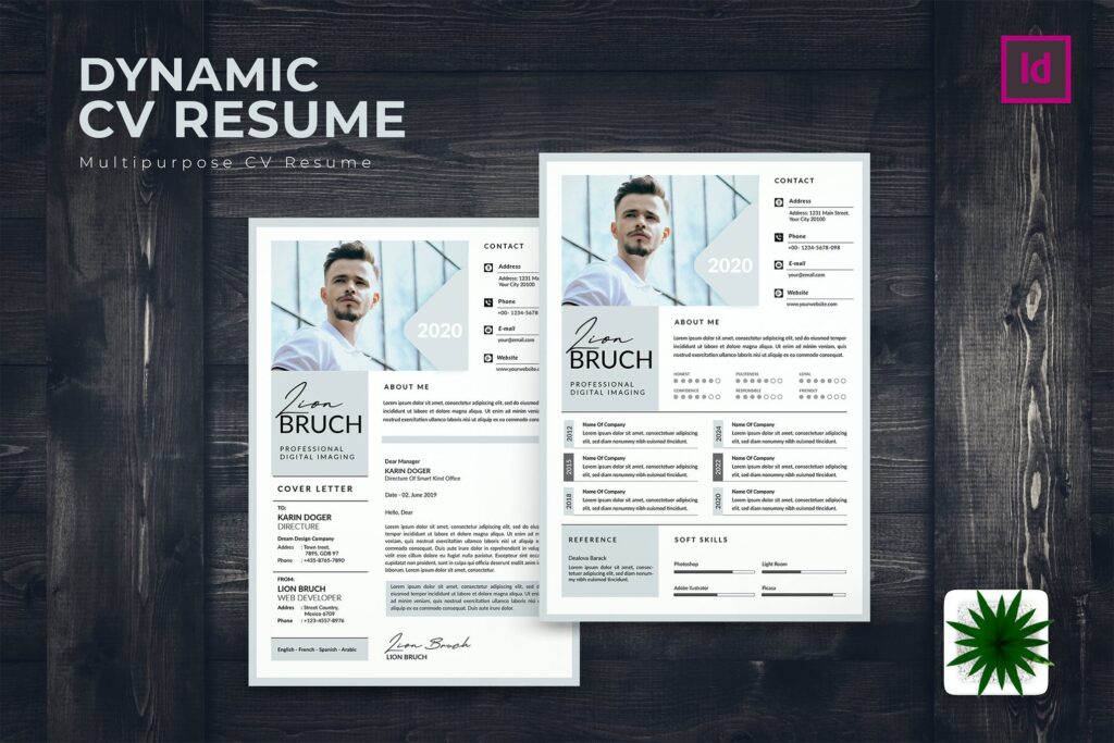 30+ Best InDesign Resume Templates (INDD CV Templates) | Design Shack