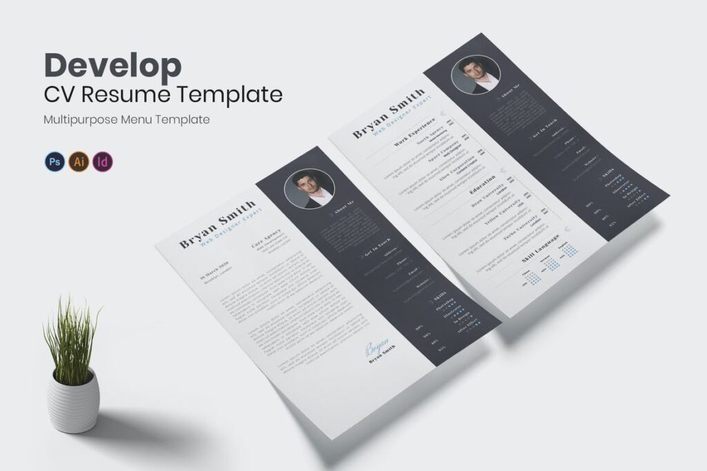 30+ Best InDesign Resume Templates (INDD CV Templates) | Design Shack