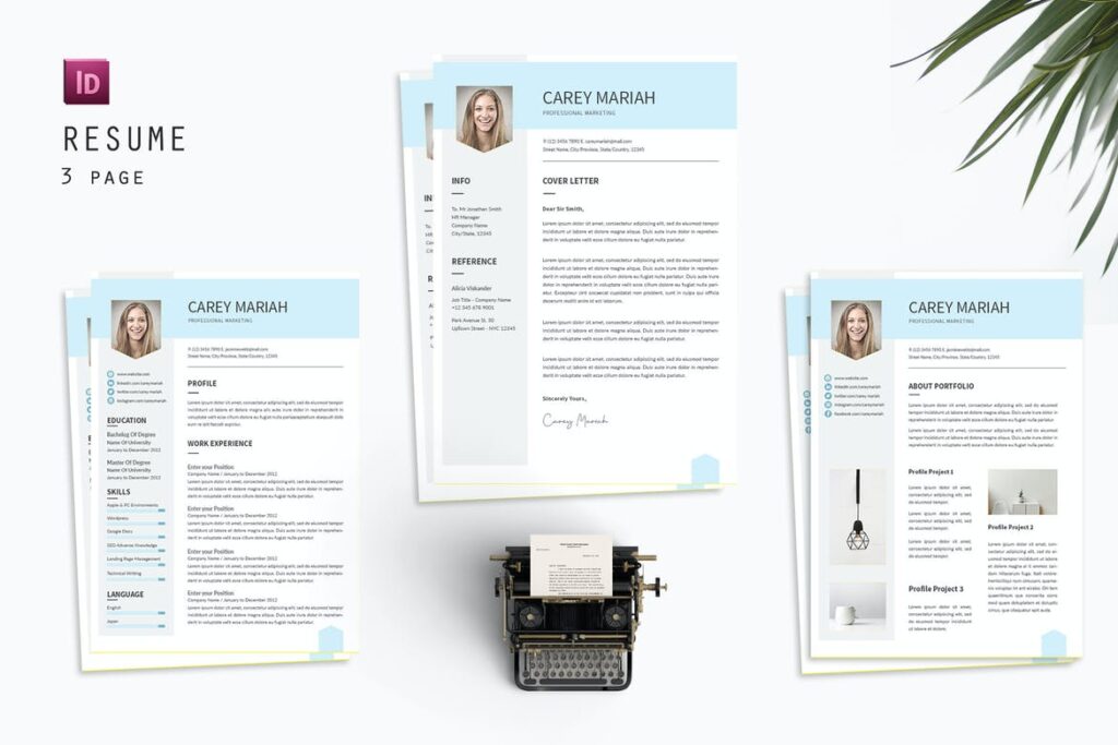 30+ Best InDesign Resume Templates (INDD CV Templates) | Design Shack