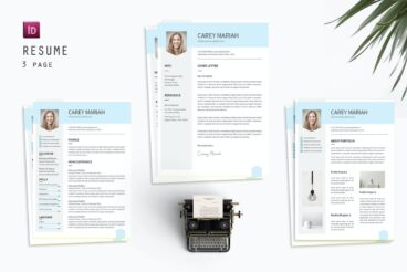 30+ Best InDesign Resume Templates (INDD CV Templates) | Design Shack