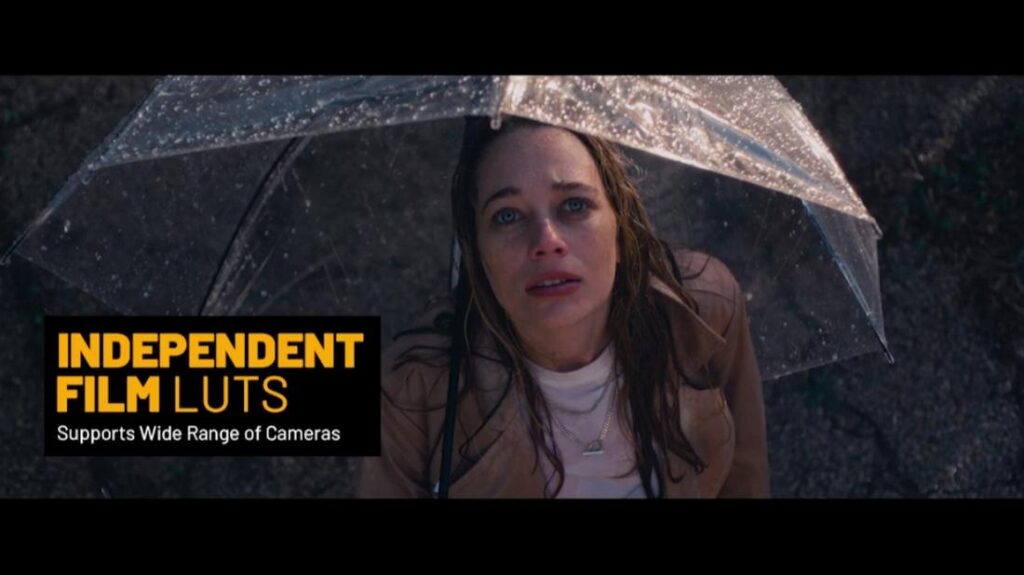 20+ Best Film LUTs (Film Look for DaVinci, Premiere Pro & More)