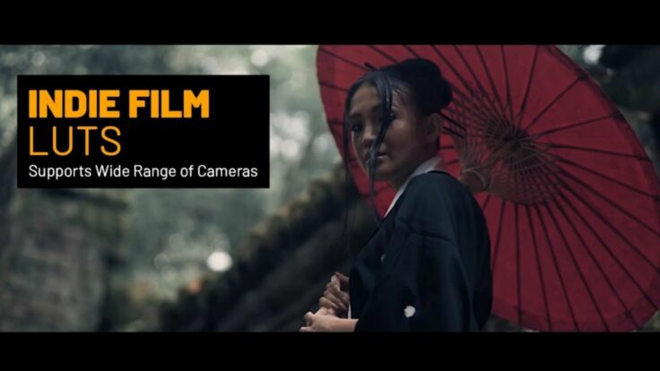 20+ Best Cinematic LUTs (For a Film & Cinema Look) – Yes Web Designs