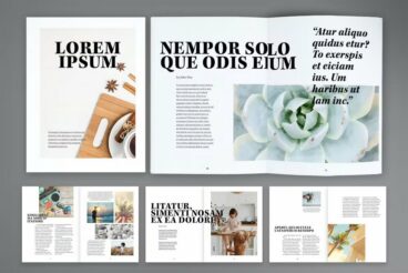 50+ Best InDesign Magazine Templates 2023 (Free & Premium) - Gold Coast ...