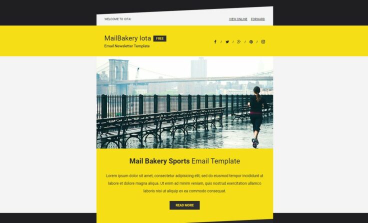 15+ Best Business Newsletter Templates (For Internal Employee ...