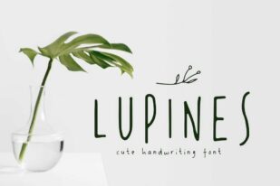 25+ Font Earthy & Alam Terbaik 2024 - desainae.com