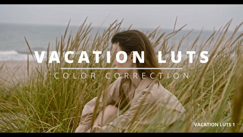 25+ Best DaVinci Resolve Presets (Color Grading + More) | Design Shack