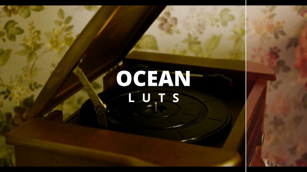 25+ Best DaVinci Resolve Presets (Color Grading + More) | Design Shack