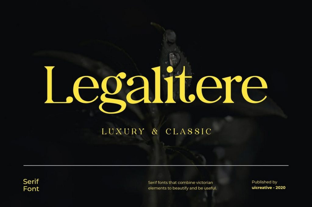 100+ Best Modern Serif Fonts 2021 - Shack Design