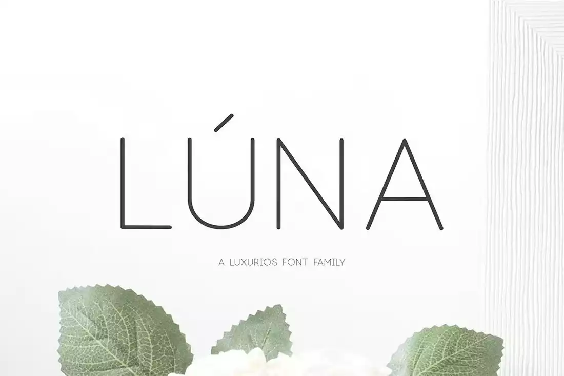 Lúna Luxurious Clean Font Family | Design Shack