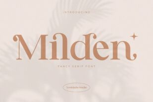 25+ Best Fashion Fonts for Elegant Typography Designs | Design Shack