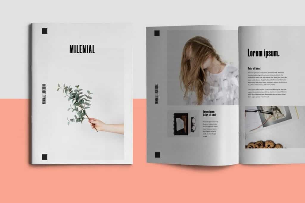 25+ Best InDesign Brochure Templates