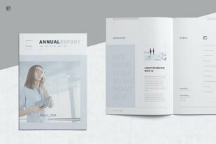 20+ Best Professional Business Report Templates (Word, PPT, InDesign ...