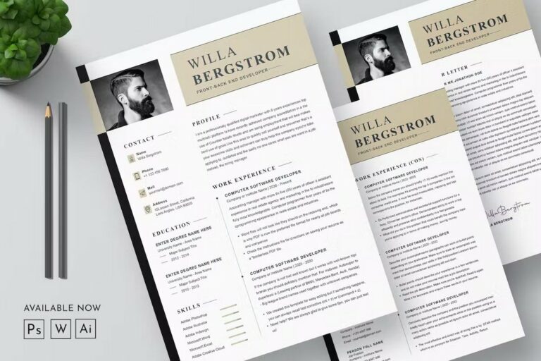 25+ Best Minimal Resume Templates in 2024 | Design Shack