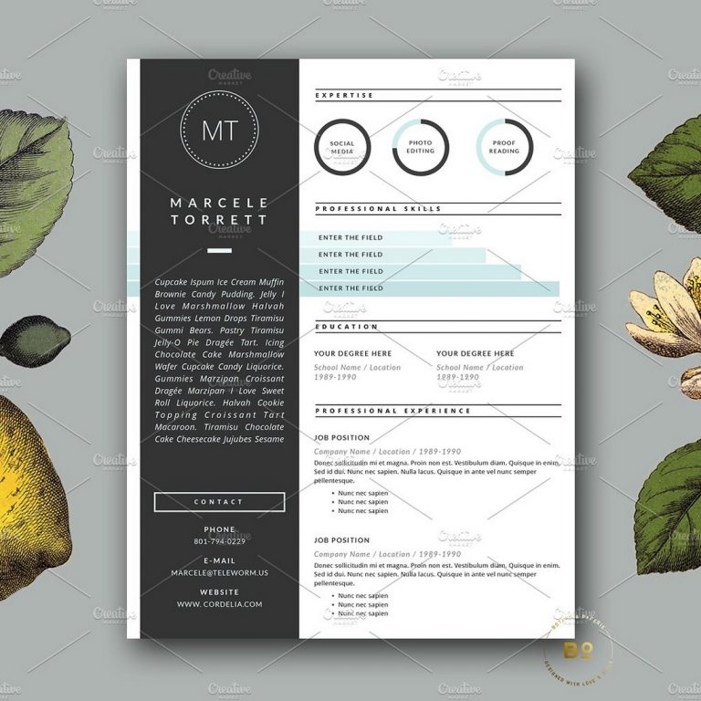 35+ Best Pages Resume & CV Templates 2021 | Design Shack