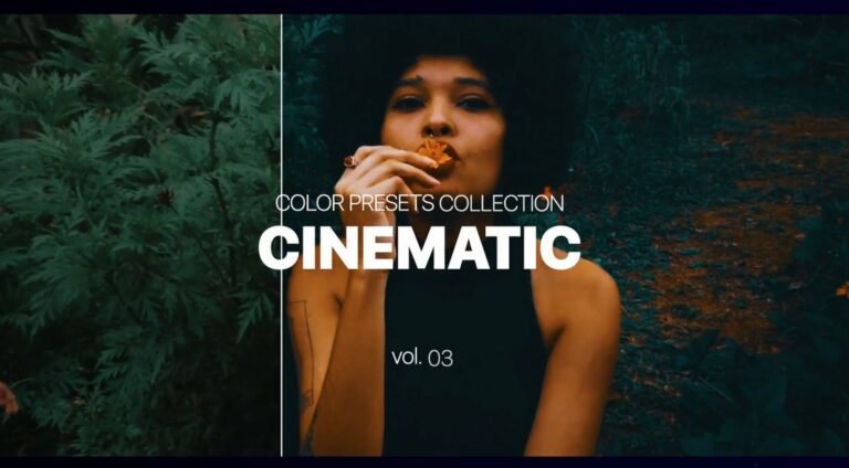 20+ Best Cinematic Color Grading Presets (For DaVinci, Premiere + More ...