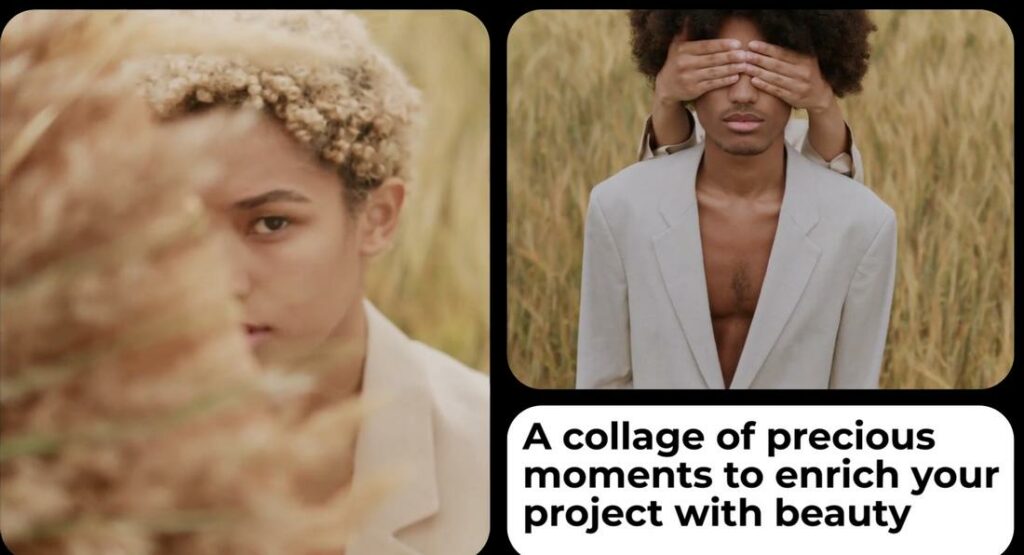 60+ Best Adobe Premiere Pro Intro Templates (Free & Premium) | Design Shack