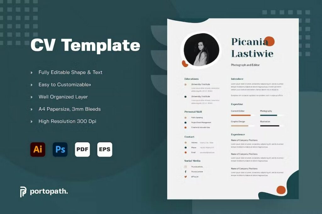 25+ Best Minimal Resume Templates in 2024 | Design Shack