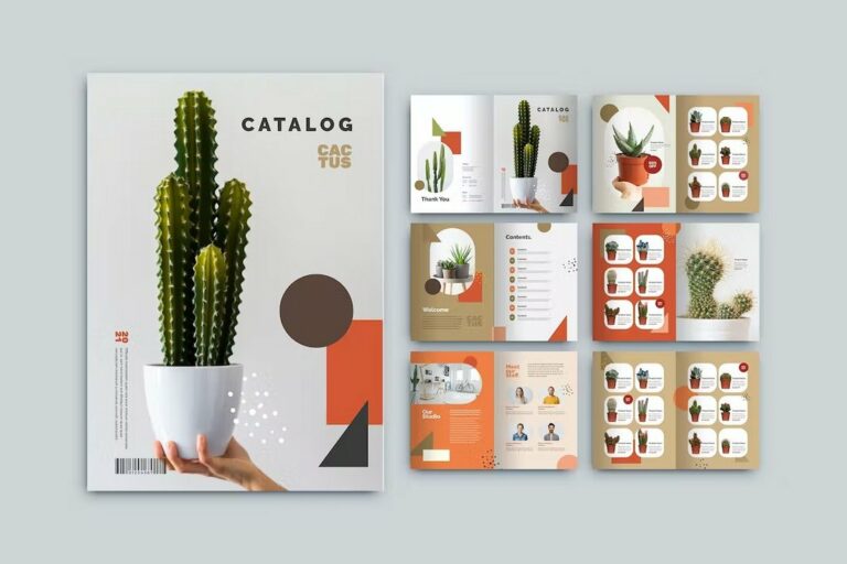 50+ Best InDesign Brochure Templates 2023