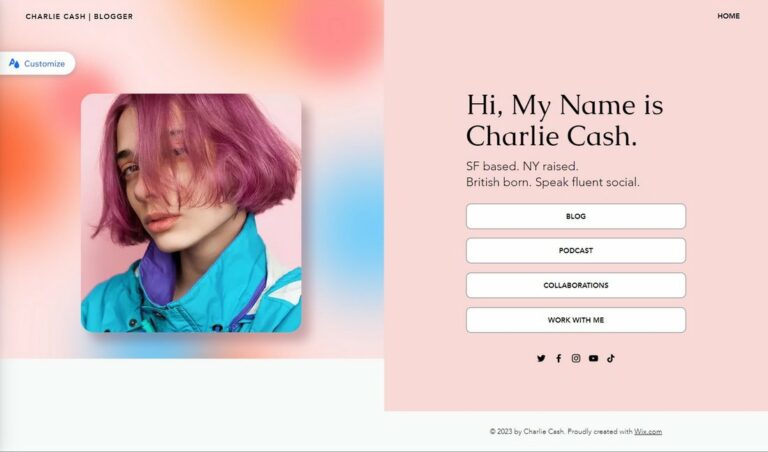 20+ Best Wix Portfolio Templates (Photography, Graphic Design, Art, UX ...