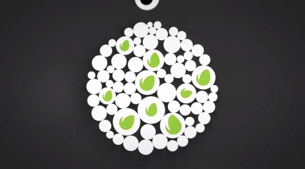 25+ Best Logo Animations for After Effects | Design Shack