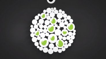 25+ Best Logo Animations for After Effects | Design Shack