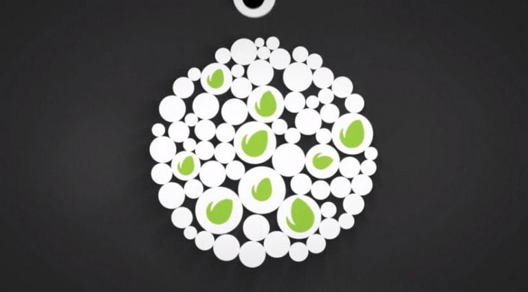 25+ Best Logo Animations for After Effects | Design Shack