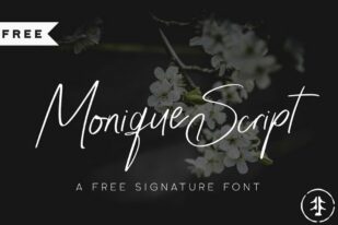 25+ Best Earthy & Nature Fonts 2024 | Design Shack