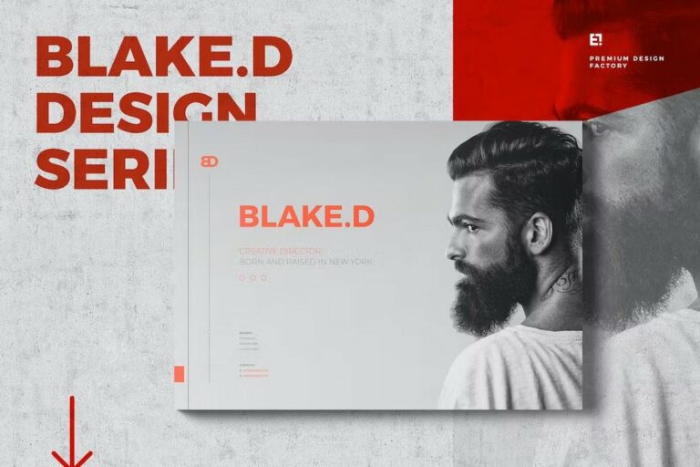 24+ Best InDesign Portfolio Templates + Examples 2025 | Design Shack