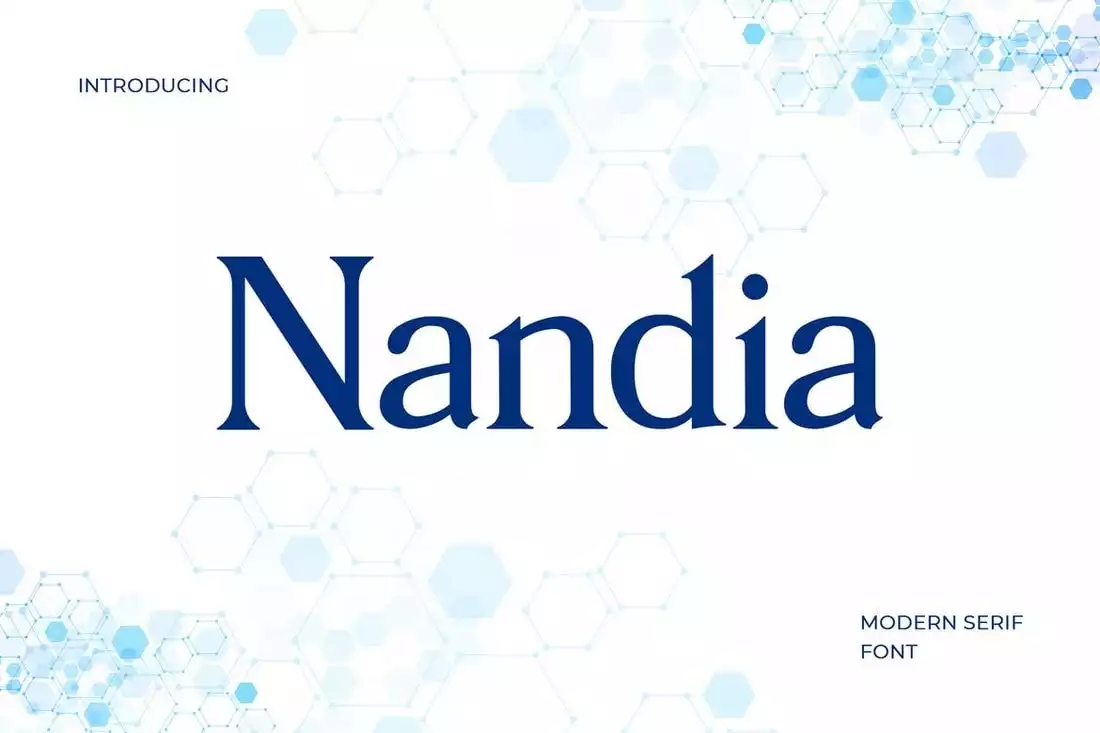 Nandia Modern Serif Font | Design Shack