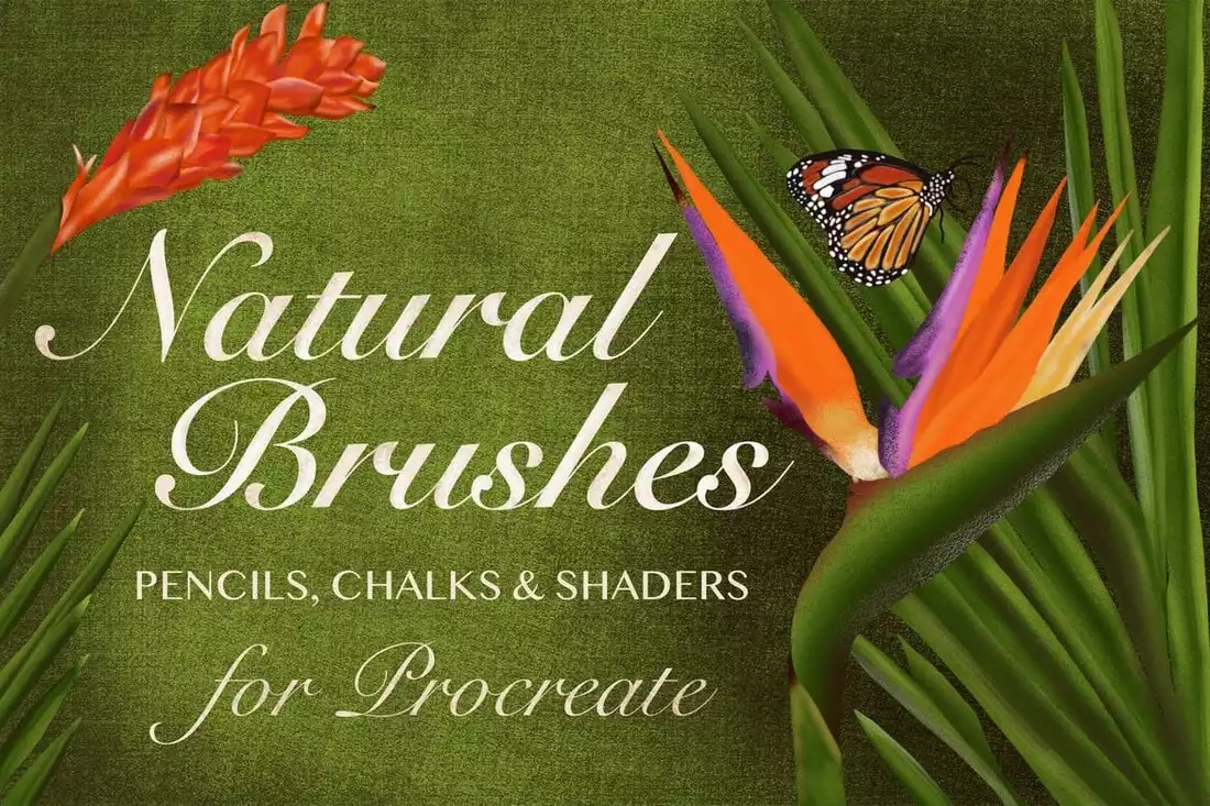 Natural Shader & Pencil Brushes for Procreate | Design Shack