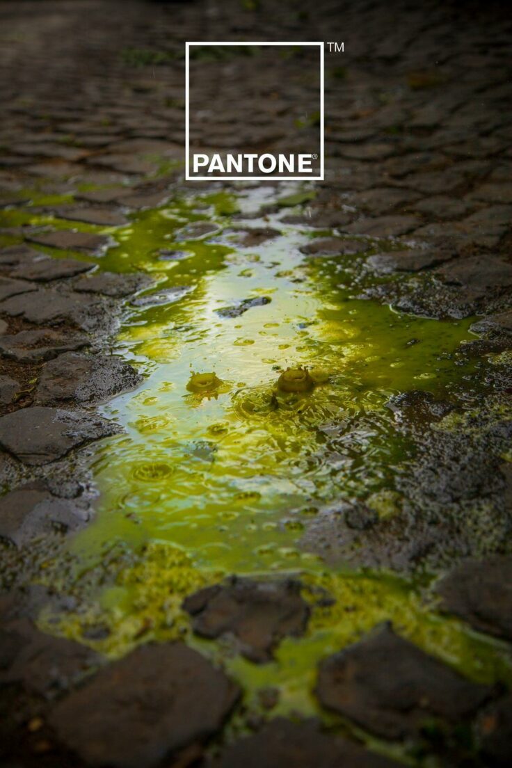 30+ Photography Trends for 2025