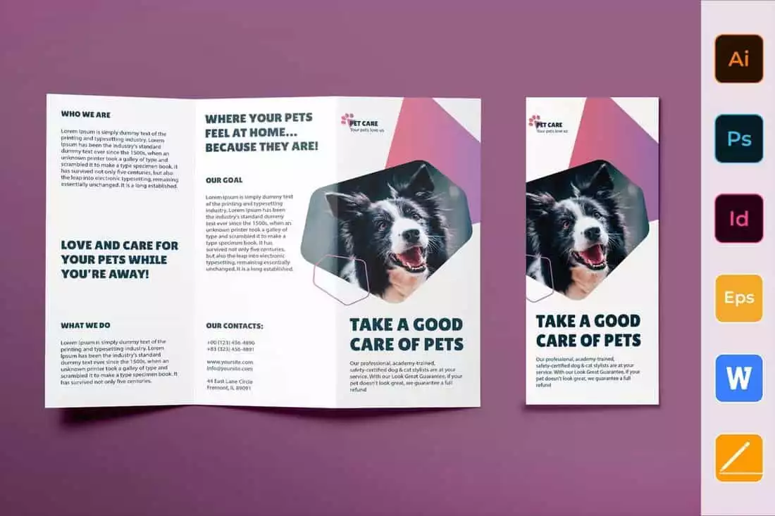 Pet Grooming Brochure Template | Design Shack