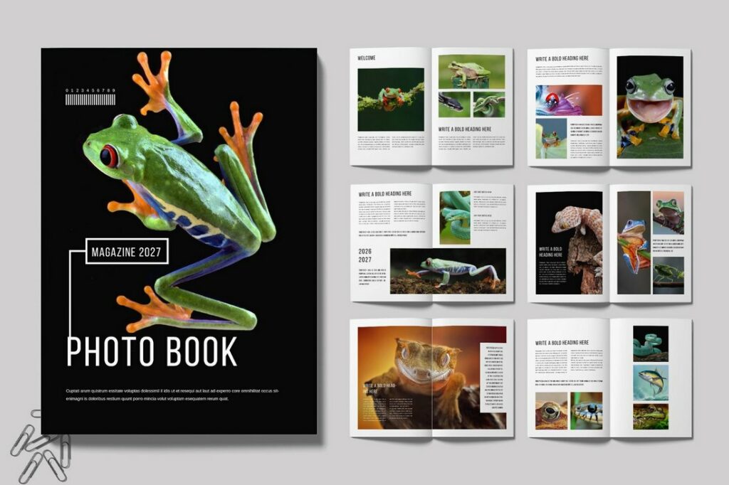 What Is a Lookbook? (+ 20 Stunning Examples) | Design Shack