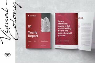 40+ Best Professional Business Report Templates (Word, PPT, InDesign ...