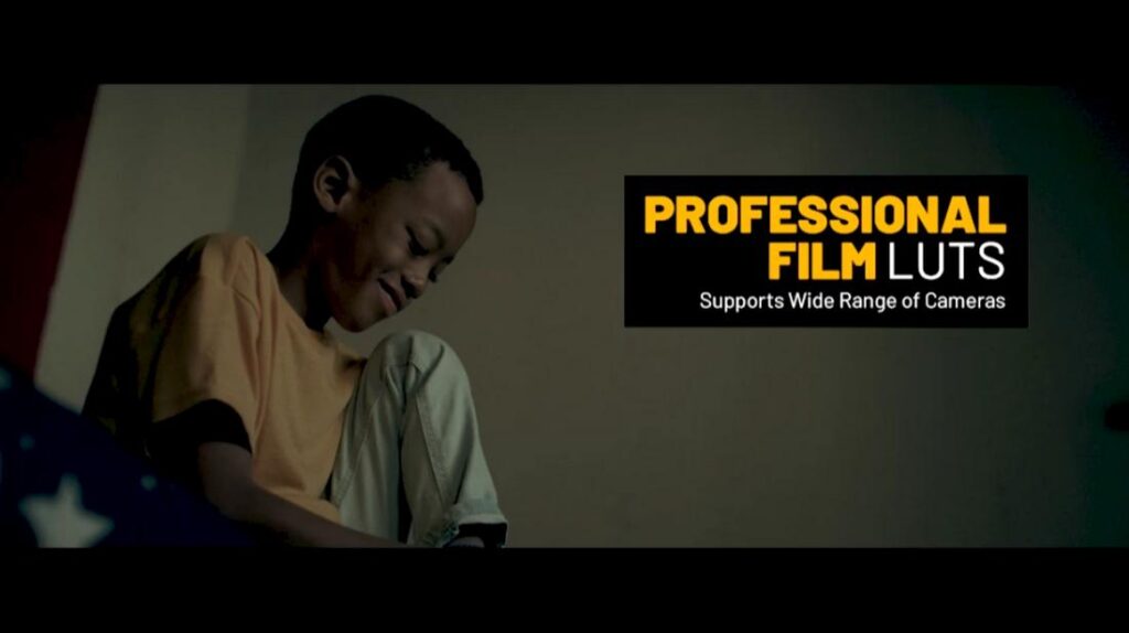 20+ Best Film LUTs (Film Look for DaVinci, Premiere Pro & More ...