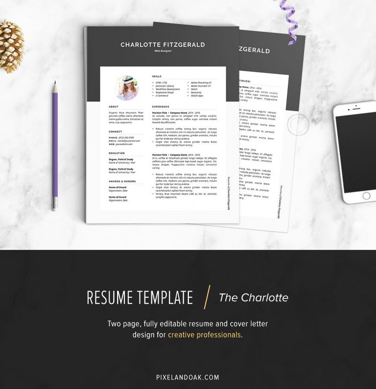 25+ Best Pages Resume & CV Templates – Yes Web Designs