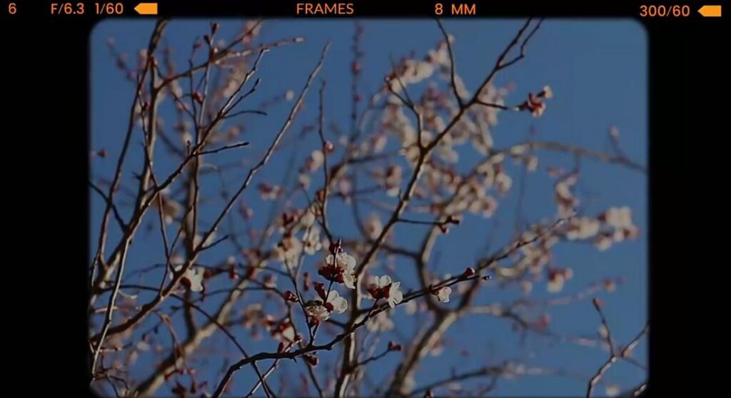 25+ Best Filmora Effects & Transitions 2025 - Shack Design